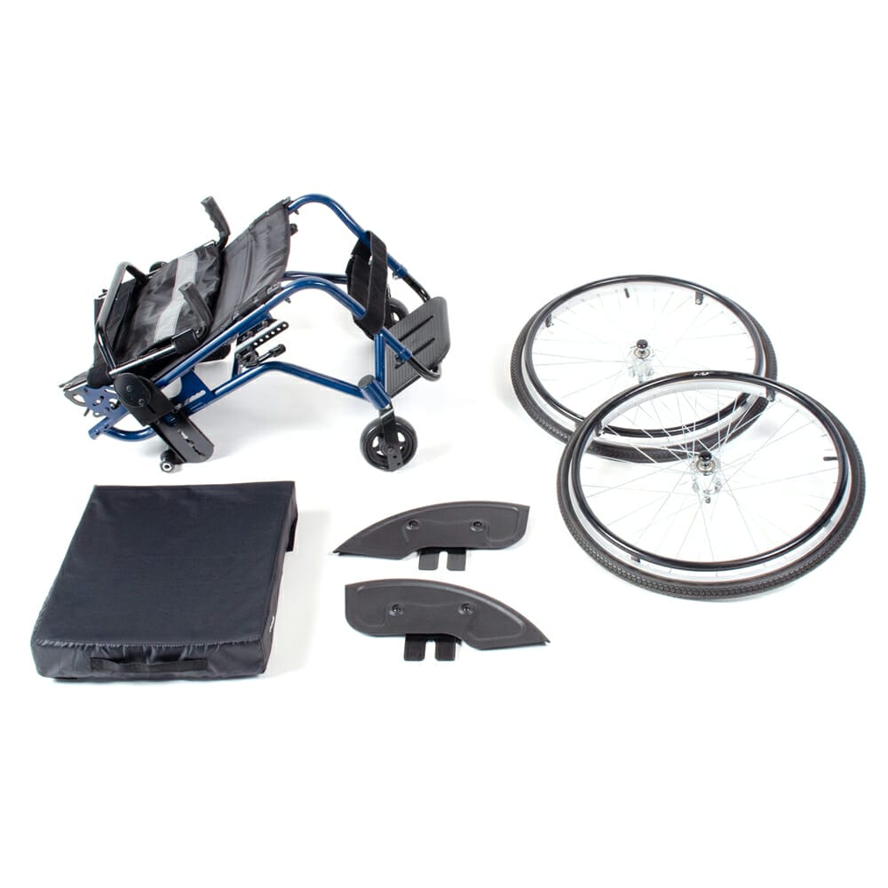 INTCO Active - CLASP